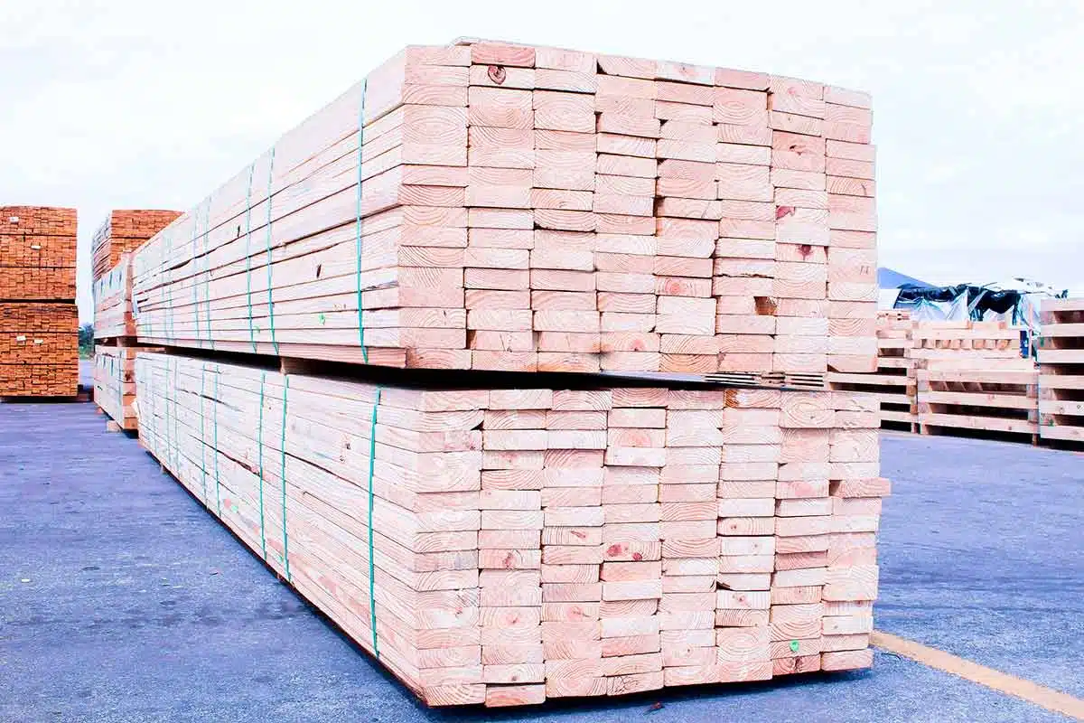 Madera para palets: tipos y características - Nasa Pack